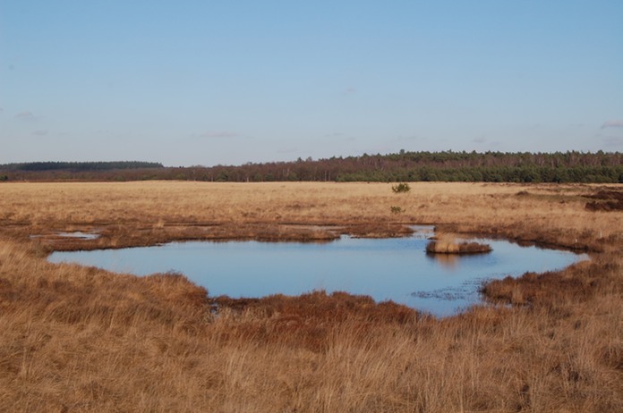 Waterplas Deelense veld | Beleef de Hoge Veluwe
